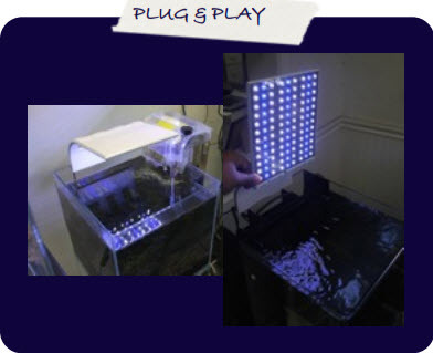 JBJ Flipper Aquarium Led Lights